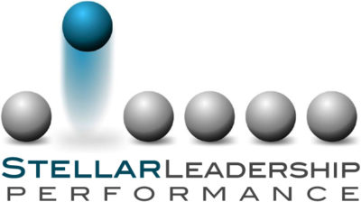 Stellar Leadership Performance – Leadership Skills for Technical People